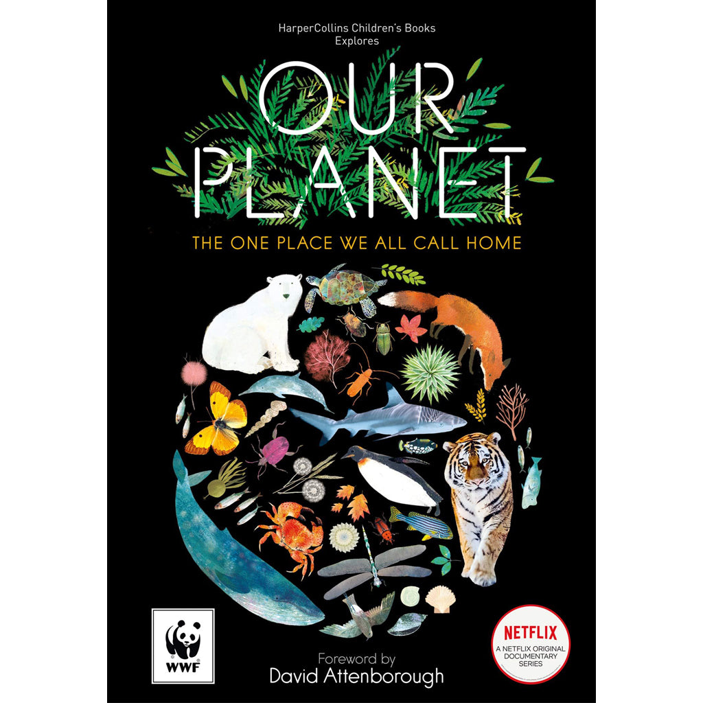 Our Planet - Netflix Children's Documentary Series with David ...